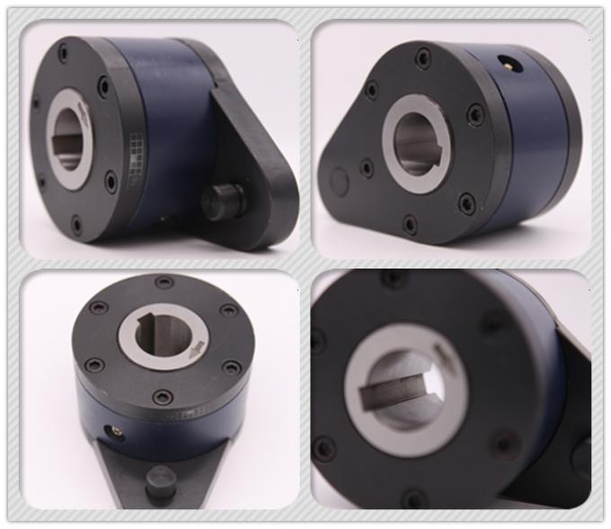 One Way 2100N.M Torque Conveyor Belt Backstop For Bucket Elevator